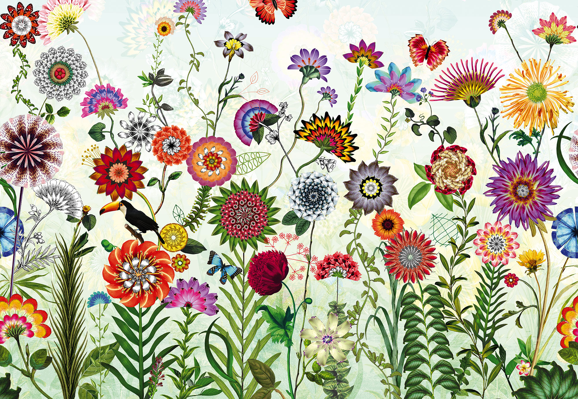 Photo murale « Brazil » de Komar | photosmurales.fr